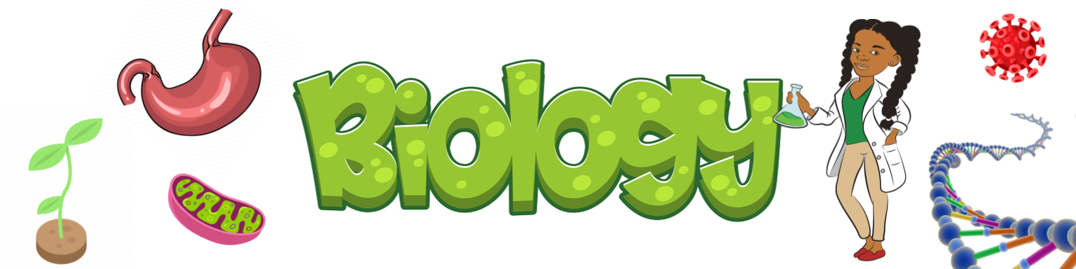 Exam Preparation Academy